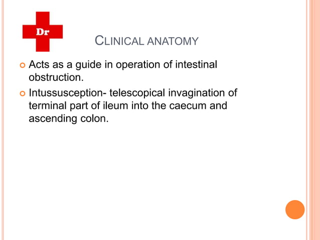GROSS ANATOMY OF CAECUM & APPENDIX DR VKVS.ppt