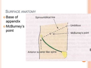 GROSS ANATOMY OF CAECUM & APPENDIX DR VKVS.ppt