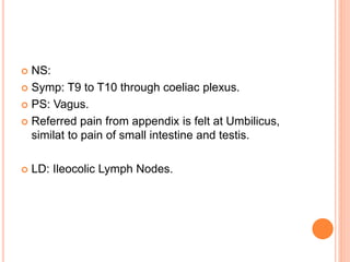 GROSS ANATOMY OF CAECUM & APPENDIX DR VKVS.ppt