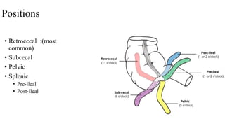 Caecum, appendix inferior mesenteric artery.pptx