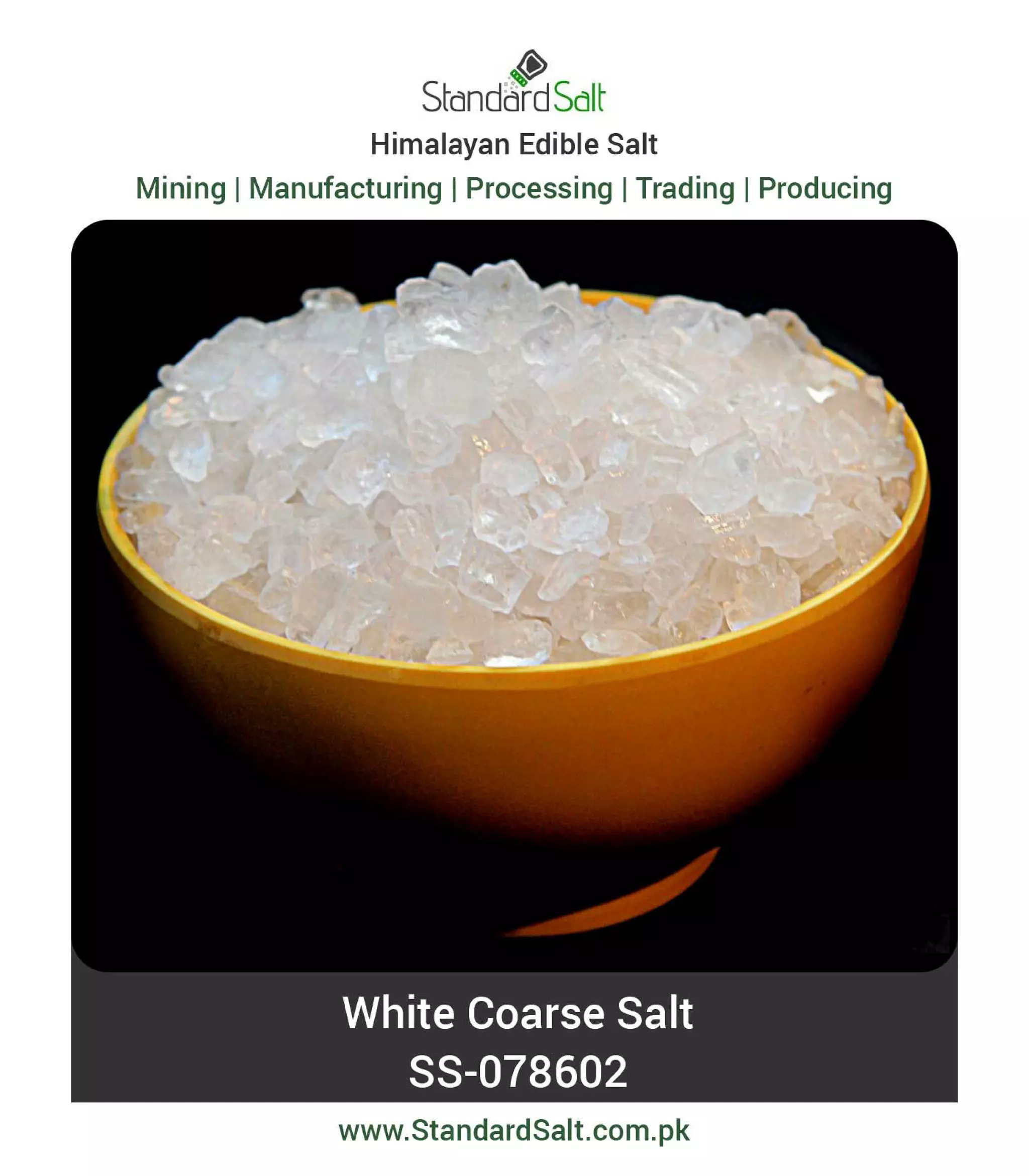 BROCHURE Standard-Salt-PDF | PDF