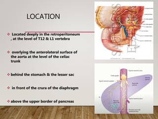 Caeliac plexus block.dr quiyum | PPTX