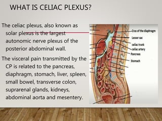 Celiac Plexus Anatomy