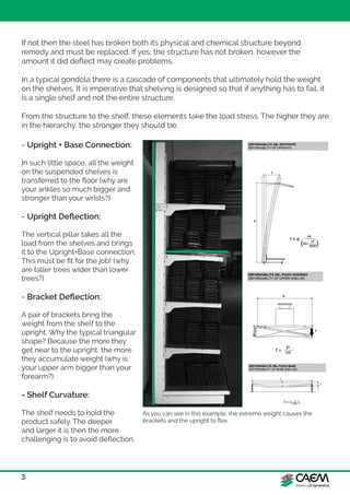 CAEM Ultimate Shelf Safety Guide | PDF