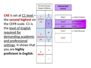 Cae presentation | PPTX