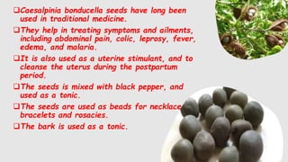 Economic importance of Caesalpiniaceae family | PPTX