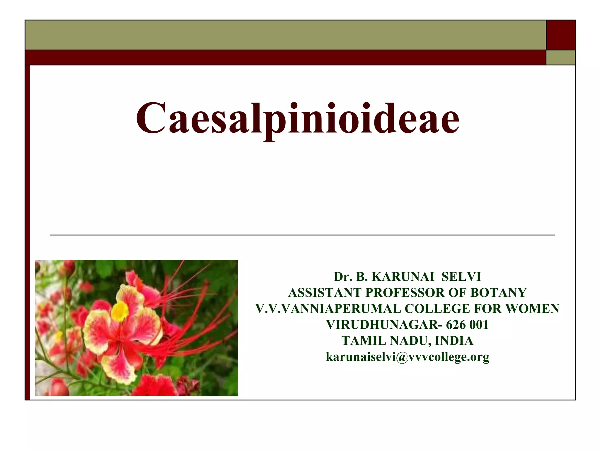 Caesalpinioideae | PPTX