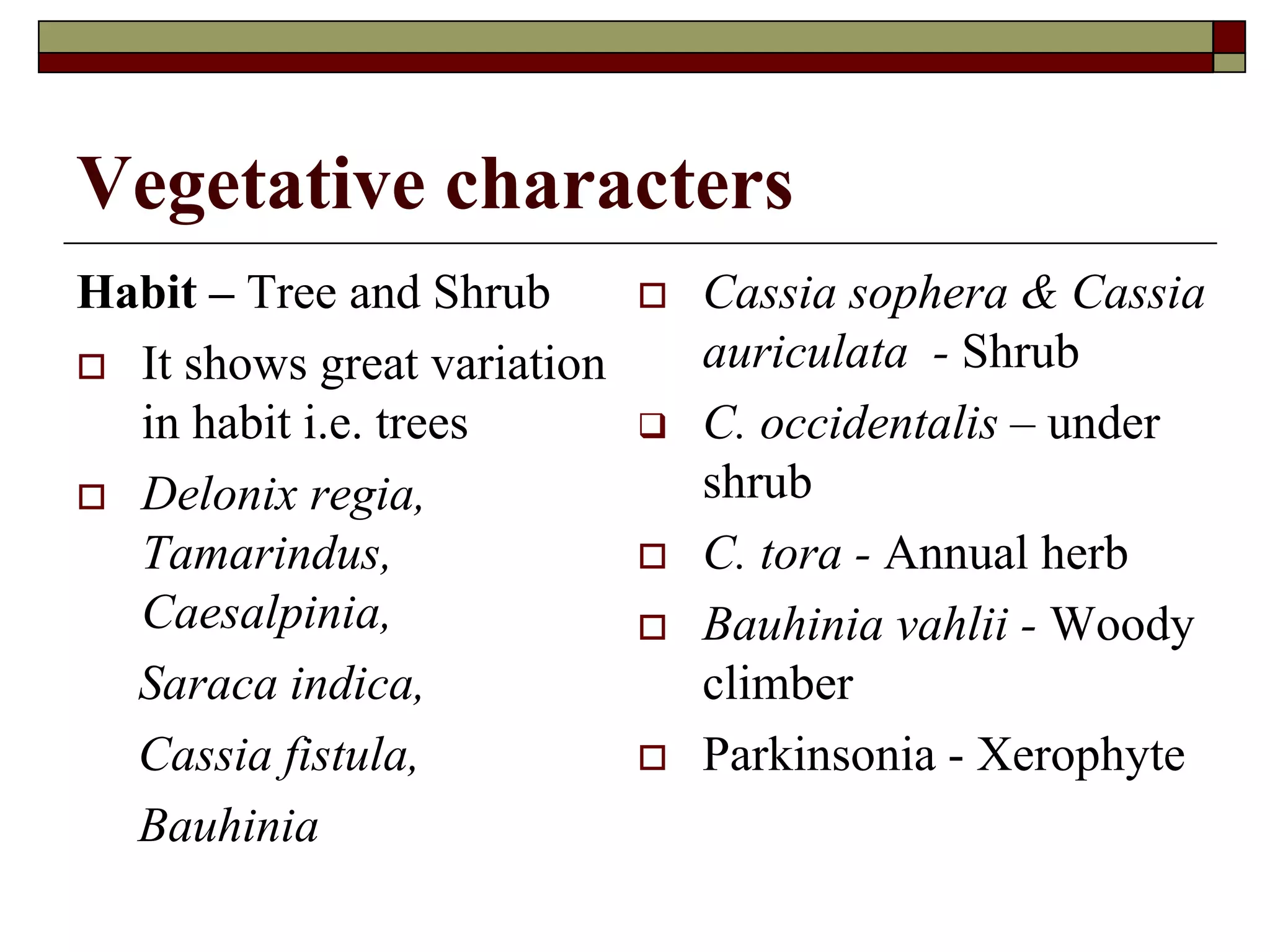Caesalpinioideae | PPTX