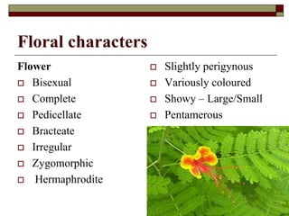 Caesalpinioideae | PPTX