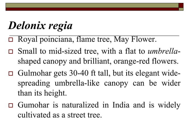 Caesalpinioideae | PPTX | Gardening | Home & Garden