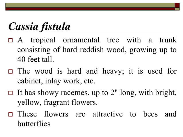 Caesalpinioideae | PPTX | Gardening | Home & Garden