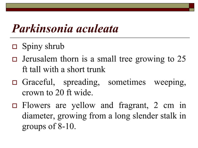 Caesalpinioideae | PPTX | Gardening | Home & Garden