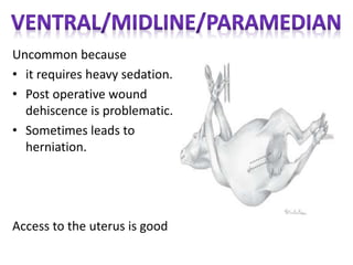 caesarean operation.pptx