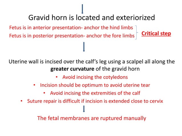 caesarean operation.pptx