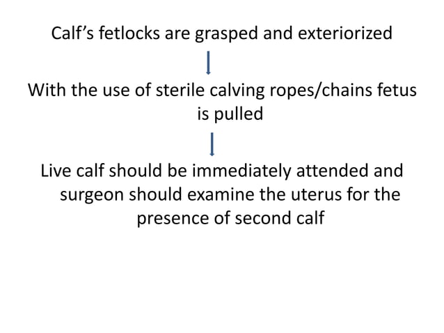 caesarean operation.pptx