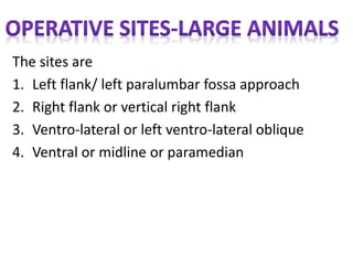 caesarean operation.pptx