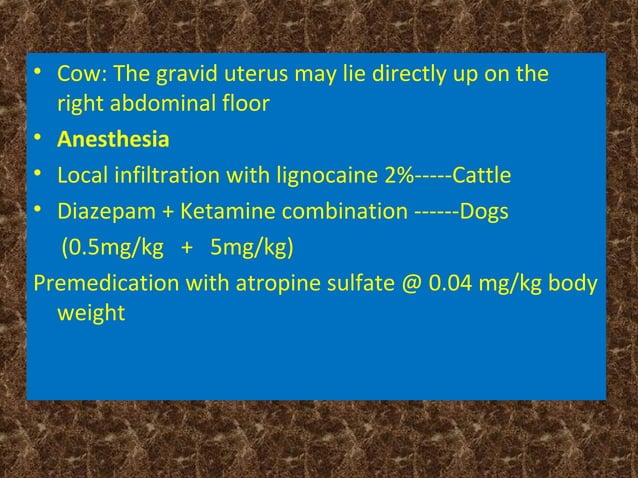 Caesarean section in cow | PPT