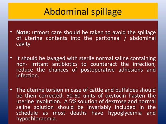 Caesarean section in cow | PPT | Pregnancy | Reproductive Health