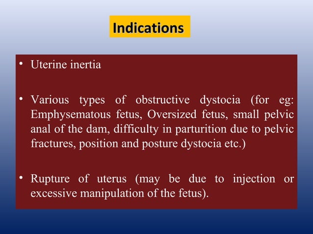 Caesarean section in cow | PPT | Pregnancy | Reproductive Health