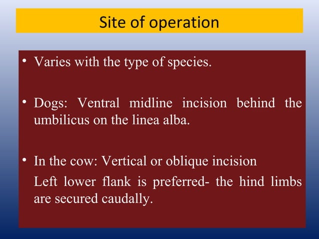 Caesarean section in cow | PPT | Pregnancy | Reproductive Health