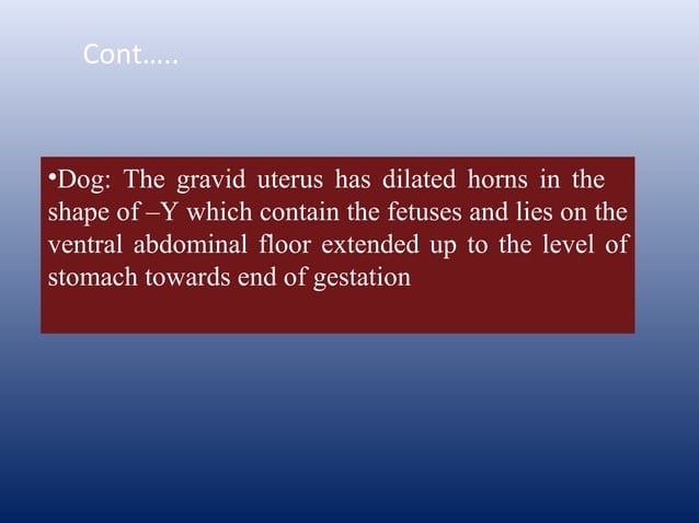 Caesarean section in cow | PPT | Pregnancy | Reproductive Health