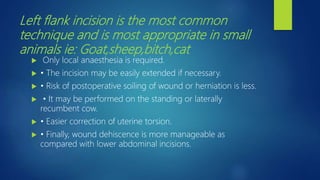 Caesarean section | PPTX