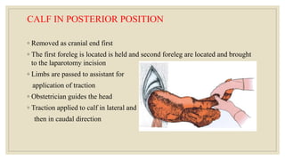 CAESAREAN SECTION AND OVARIOHYSTERECTOMY PPT.pptx