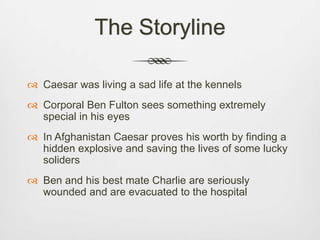 Caesar the war dog | PPTX