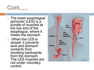 Ca esophagus | PPTX