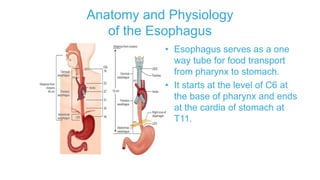 Ca esophagus by amos.pptx