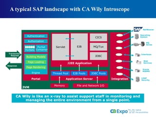 Wily Introscope at the CA Expo 2010 | PPT