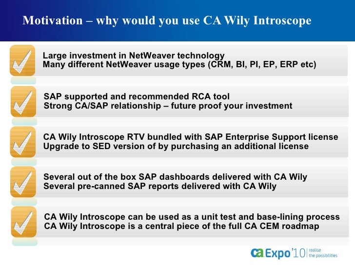 Introscope wily ness technologies : saddfoosap