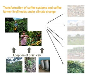 Cafe adapt: Planning and investing in climate resilient coffee ...