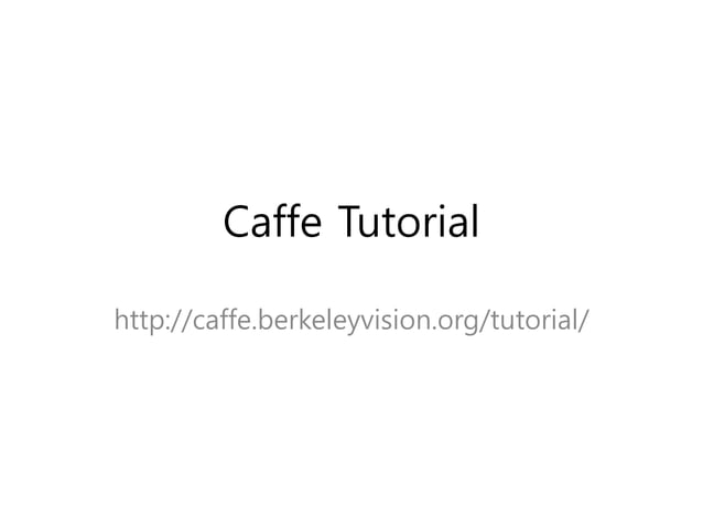Caffe framework tutorial | PPT
