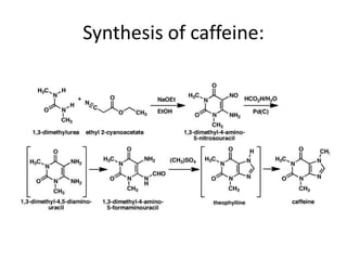 Caffeine | PPT