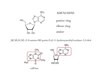 Caffeine and You | PPT