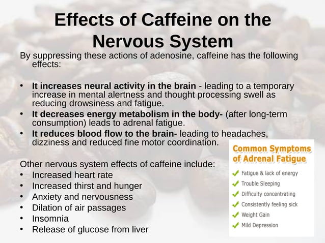 The Effects of Caffeine | PPT
