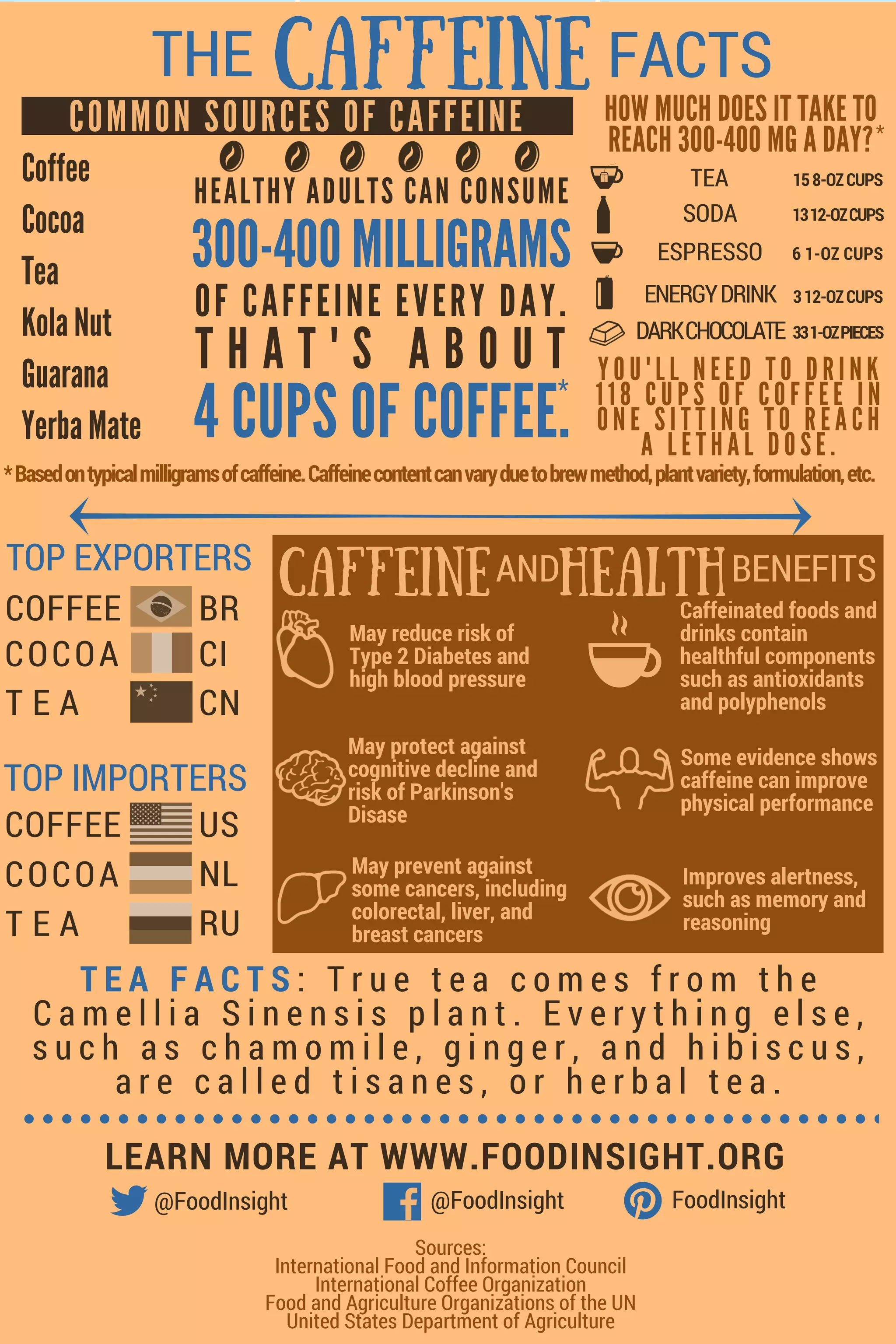 The Caffeine Facts | PDF