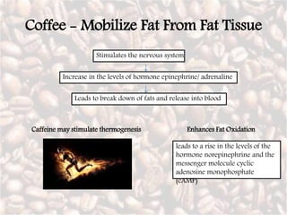 Caffeine - Effect On Weight Loss And Exercise | PPTX