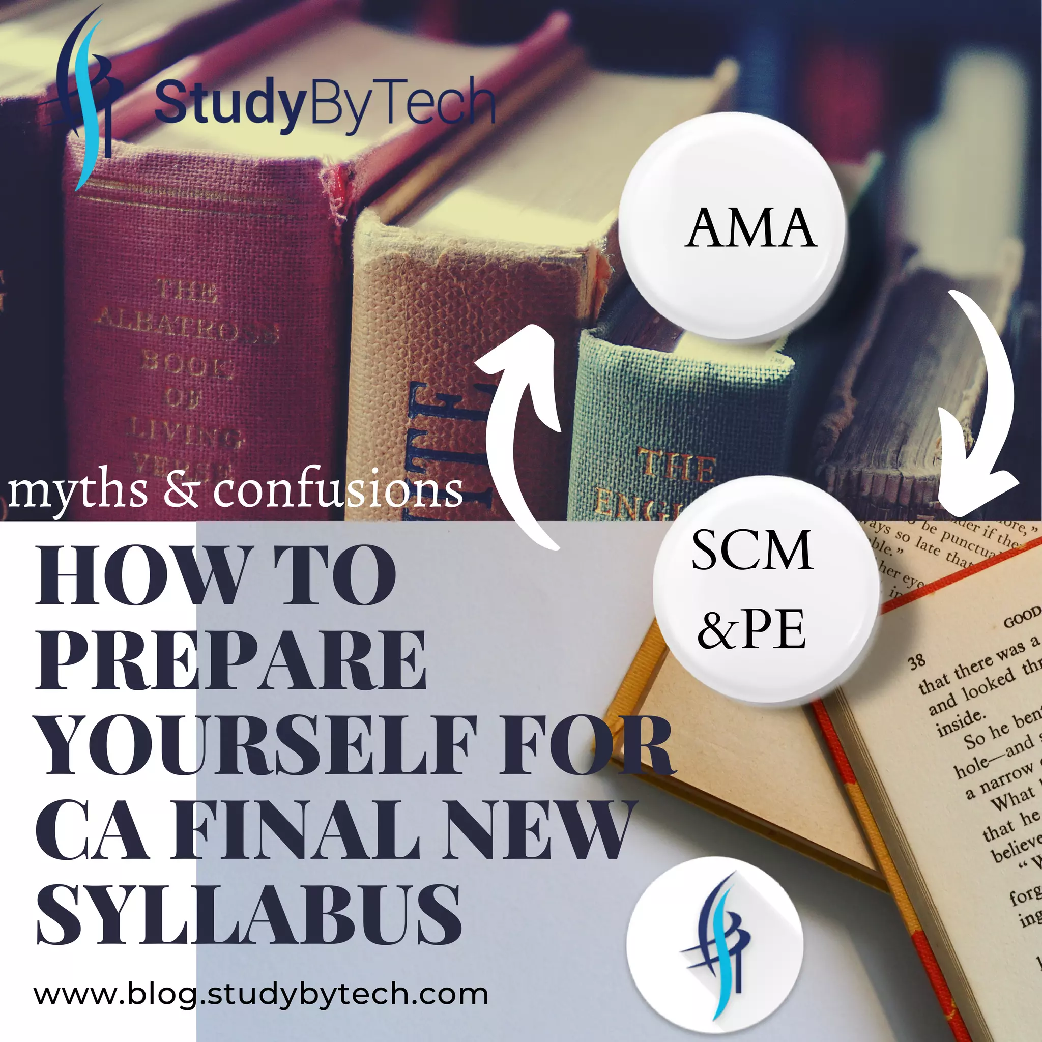 CA FINAL OLD SYLLABUS | PDF