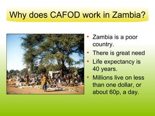 Cafod In Zambia | PPT