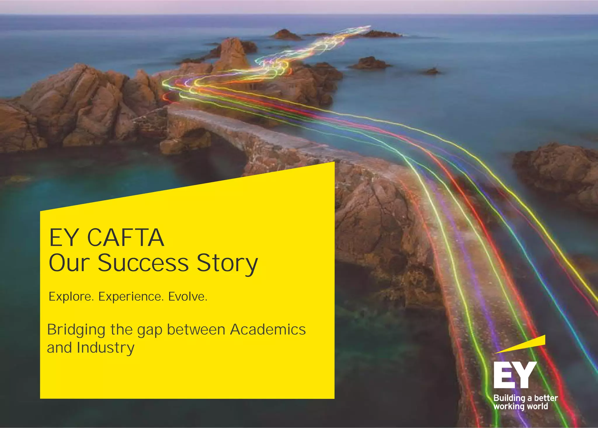 EY Cafta Success Stories | PDF
