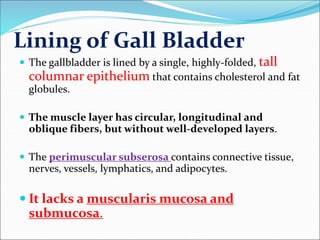 ca gall bladder seminar.ppt