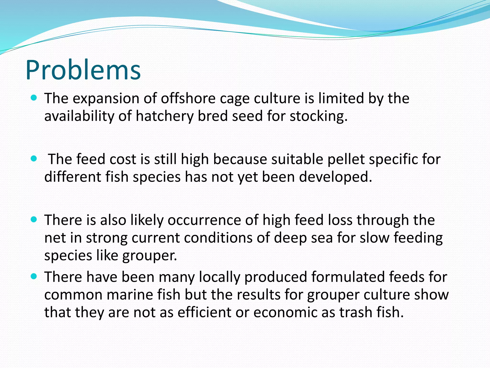 Cage Culture of Grouper and Cobia | PPTX