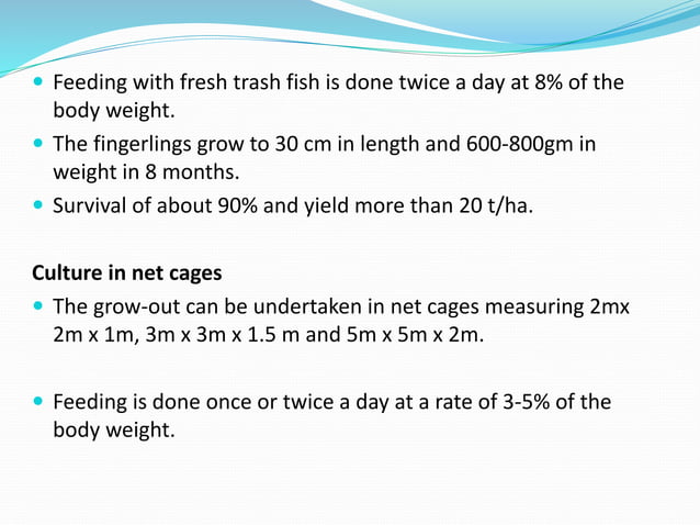 Cage Culture of Grouper and Cobia | PPTX | Fish and Aquariums | Pets