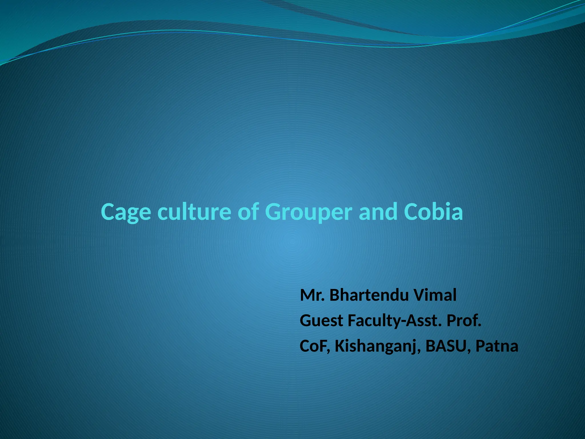 Cage-culture-of-Grouper-and-Cobia Cage Culture Practice.pptx
