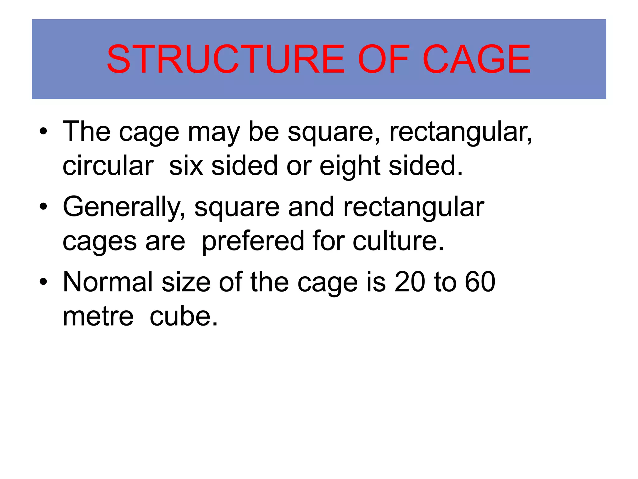 CAGE CULTURE | PPTX