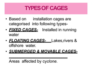 CAGE CULTURE | PPTX