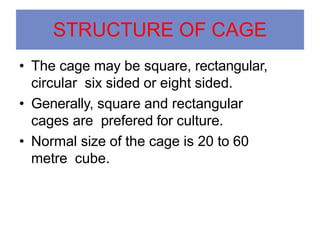 CAGE CULTURE | PPTX