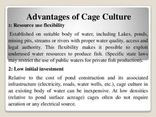 Cage culture | PPT